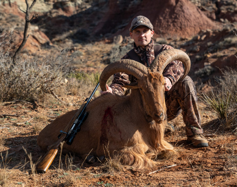 Trophy Free Range Aoudad Hunt – Texas - Top End Adventures