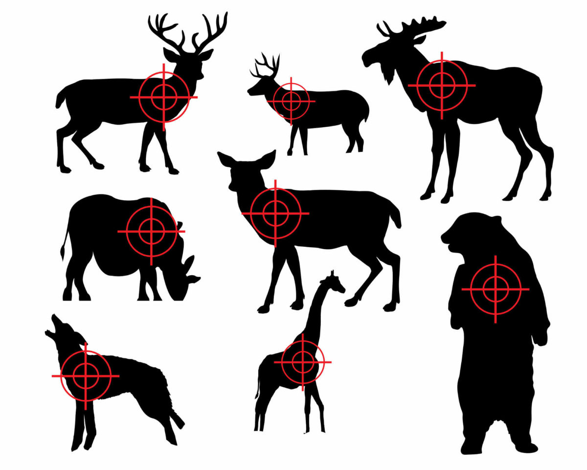 How To Get The Perfect Shot When Hunting - Top End Adventures