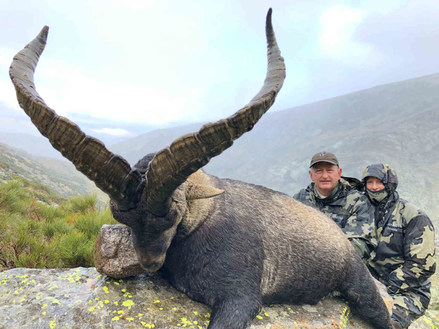 The Four Types of Spanish Ibex - Top End Adventures