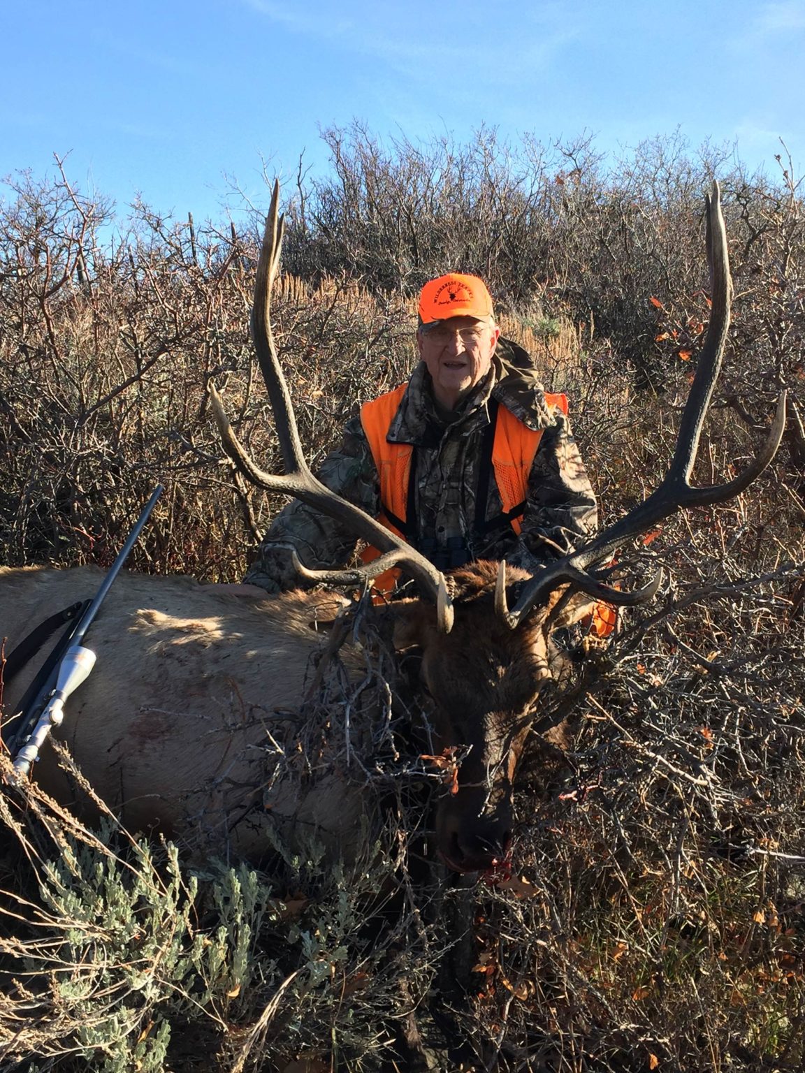 Colorado Elk Hunt with Guaranteed Tags - Top End Adventures