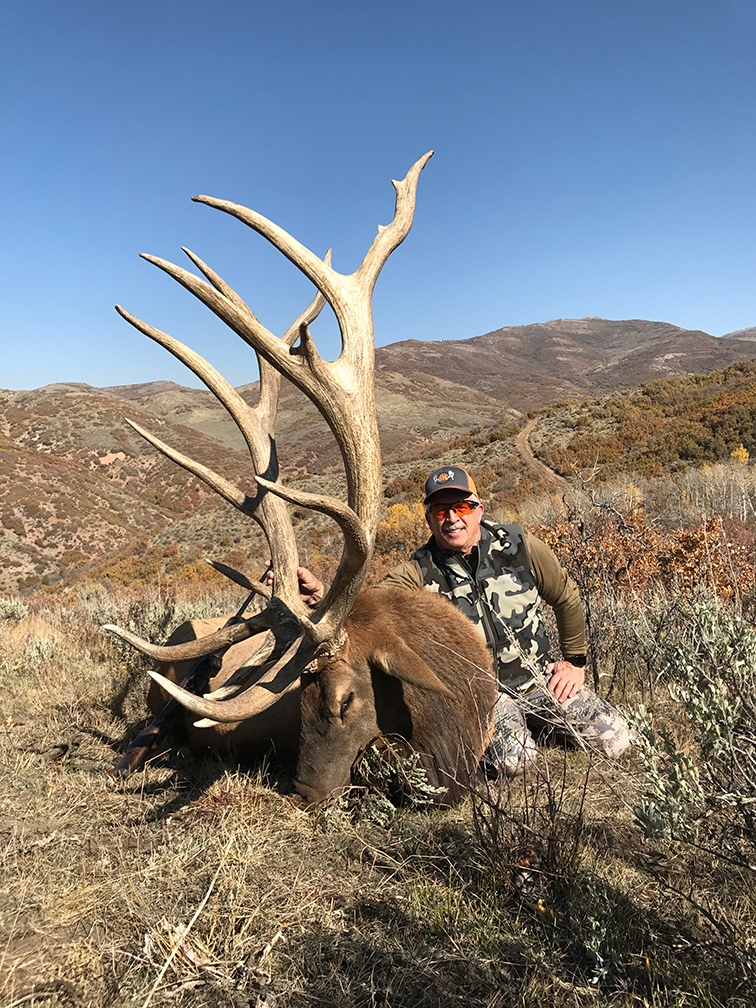 Elk Fence